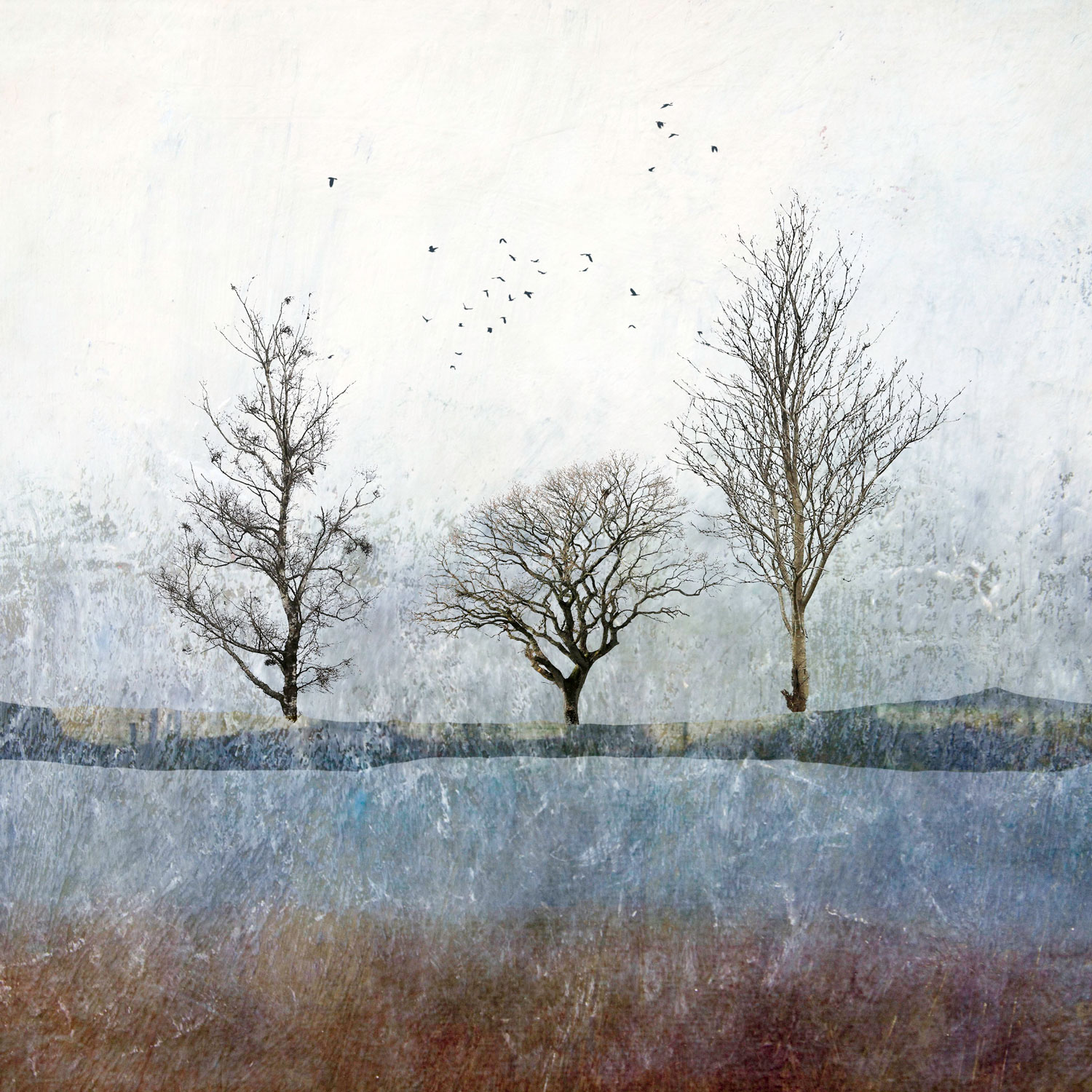 Home - Diana Jane Creative Visual Artist and Photographer